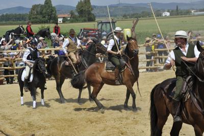 Maremma, al via il Game Fair 2016 tra rodei e falconieri