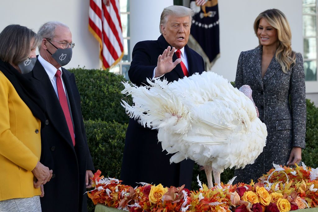 Giorno del Ringraziamento 2020 - Grazia ai tacchini, 'Turducken' e ...
