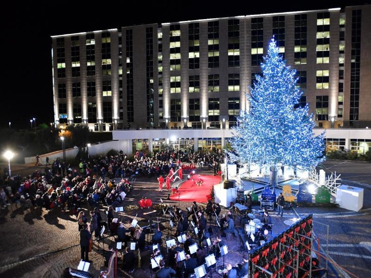 Grande partecipazione per l'accensione dell'albero di Natale dei ...