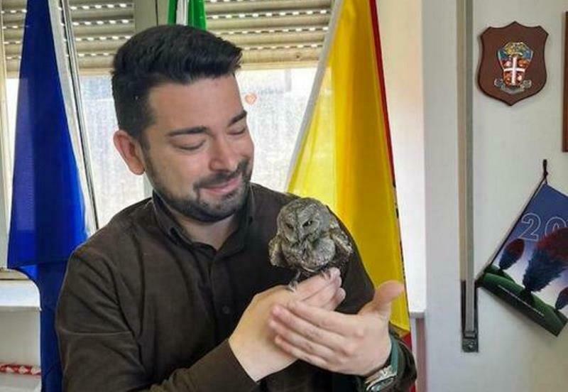 Giarre: piccolo assiolo soccorso dal Presidente del Consiglio comunale