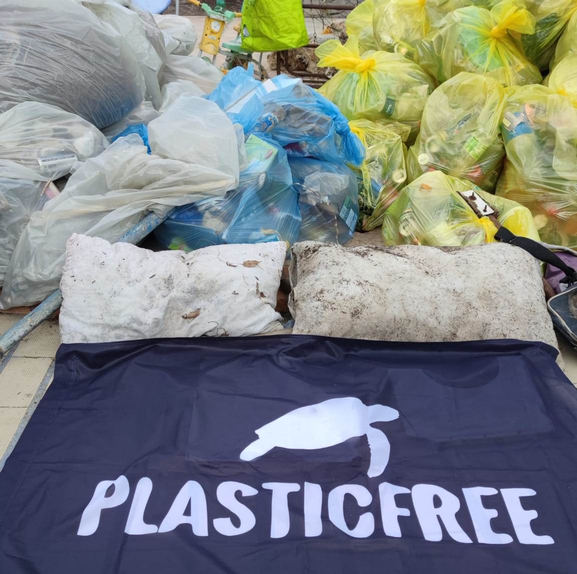 I volontari di Plastic Free liberano la Calabria da 20.850 kg di ...