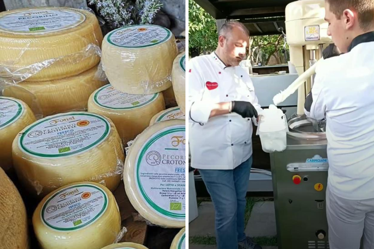Gelato al Pecorino Crotonese DOP: il nuovo gusto dell'estate calabrese 2023