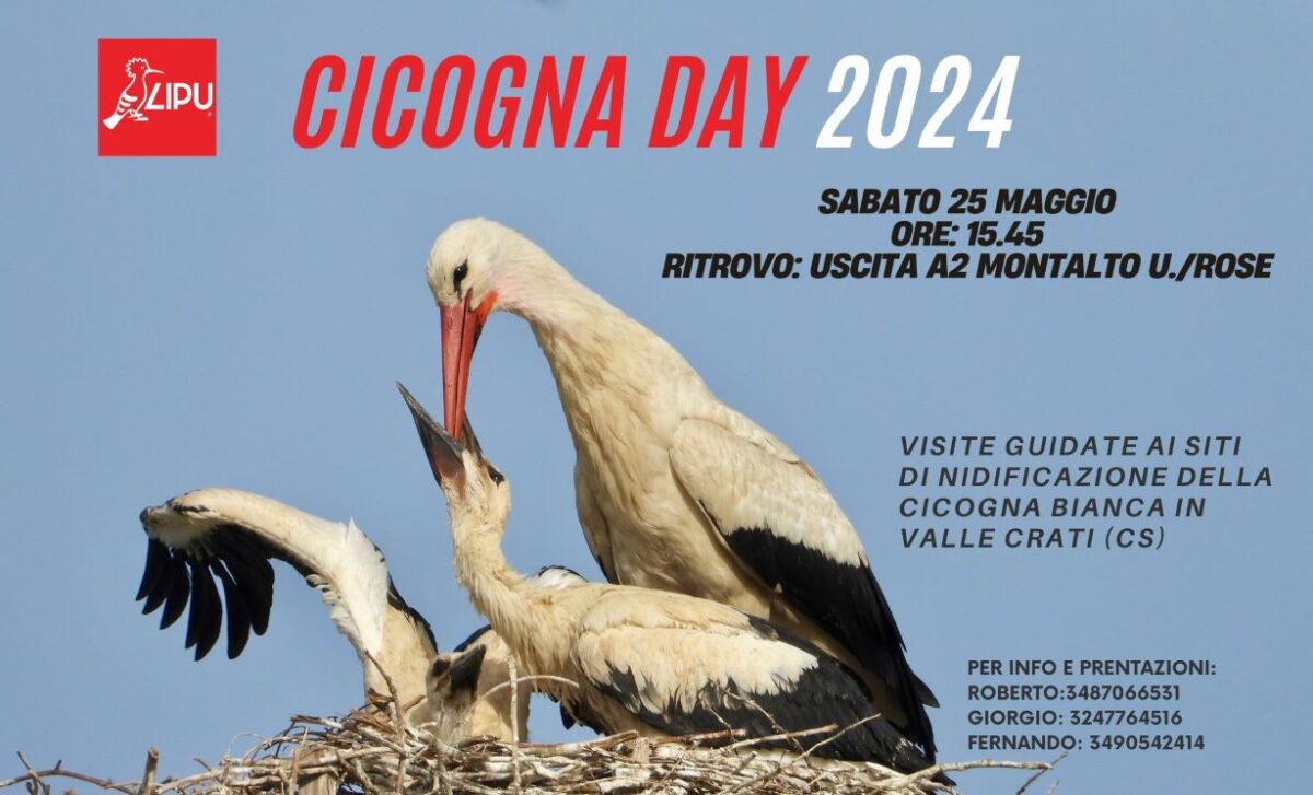 "Cicogna Day": al via la nona edizione della Lipu Rende