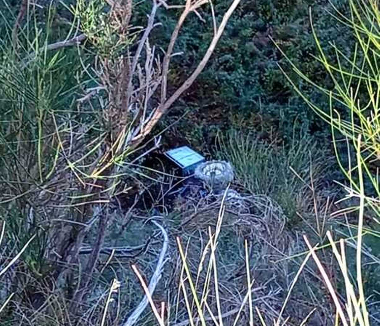 Calabria, trattore precipita in un burrone: 78enne perde la vita, due ...