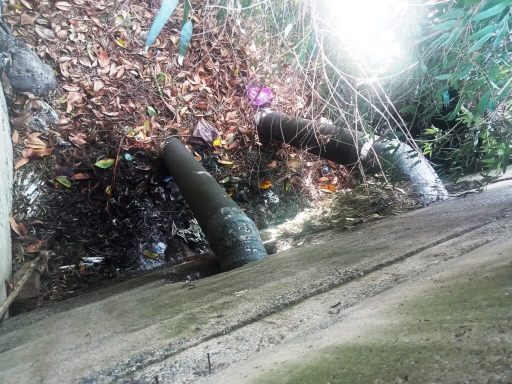 Reggio Calabria, un lettore indignato: "spreco di acqua potabile e ...