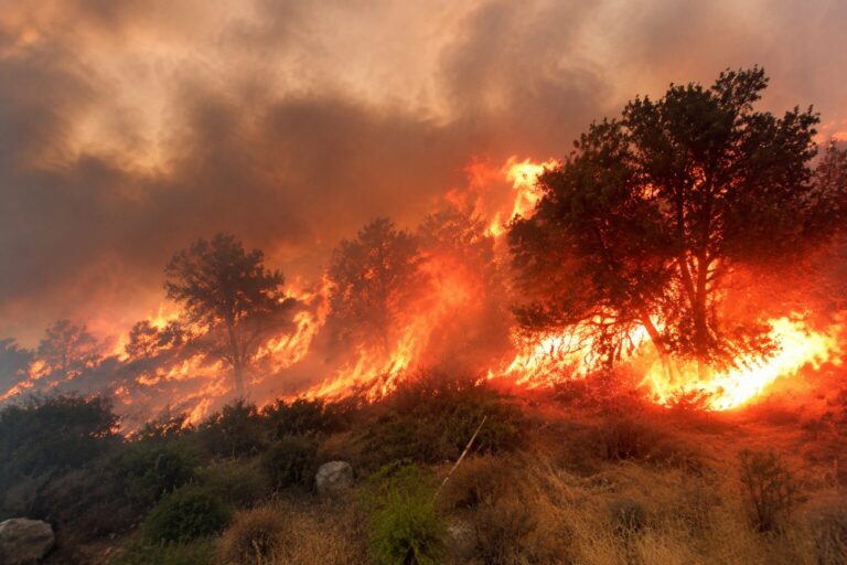 Tragedia in Sicilia, furioso incendio a Borgetto, muore operaio forestale